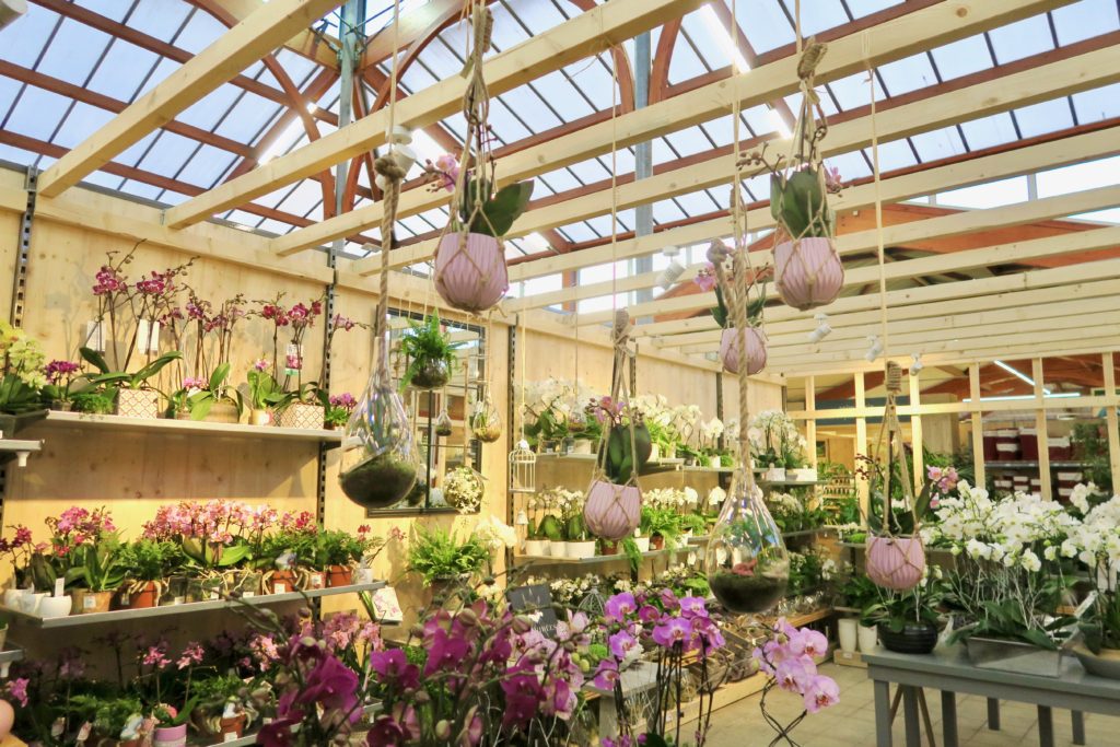 Botanic, bien plus qu'une jardinerie - ses univers et sa magie