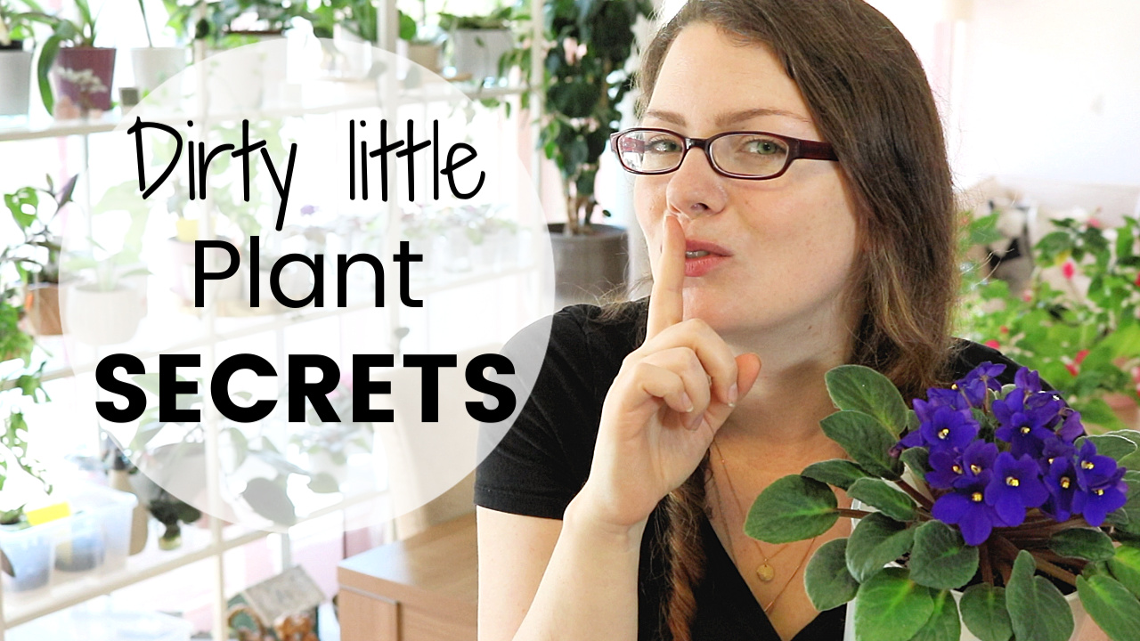 TAG - Dirty little plant secrets avec Marion Botanical